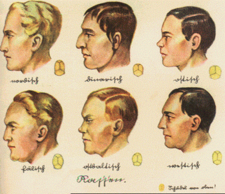 Raza Humana - Enciclopedia Católica