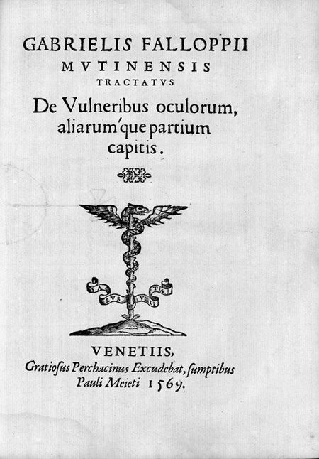 Gabriel Fallopio - Enciclopedia Católica